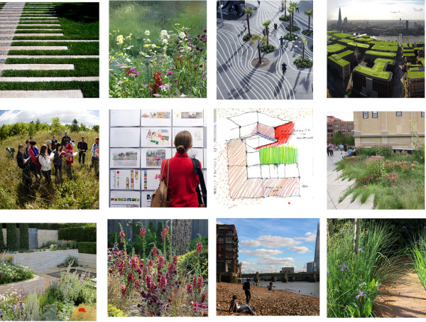 Landscape Architects LAA – Guide to landscape architecture firms